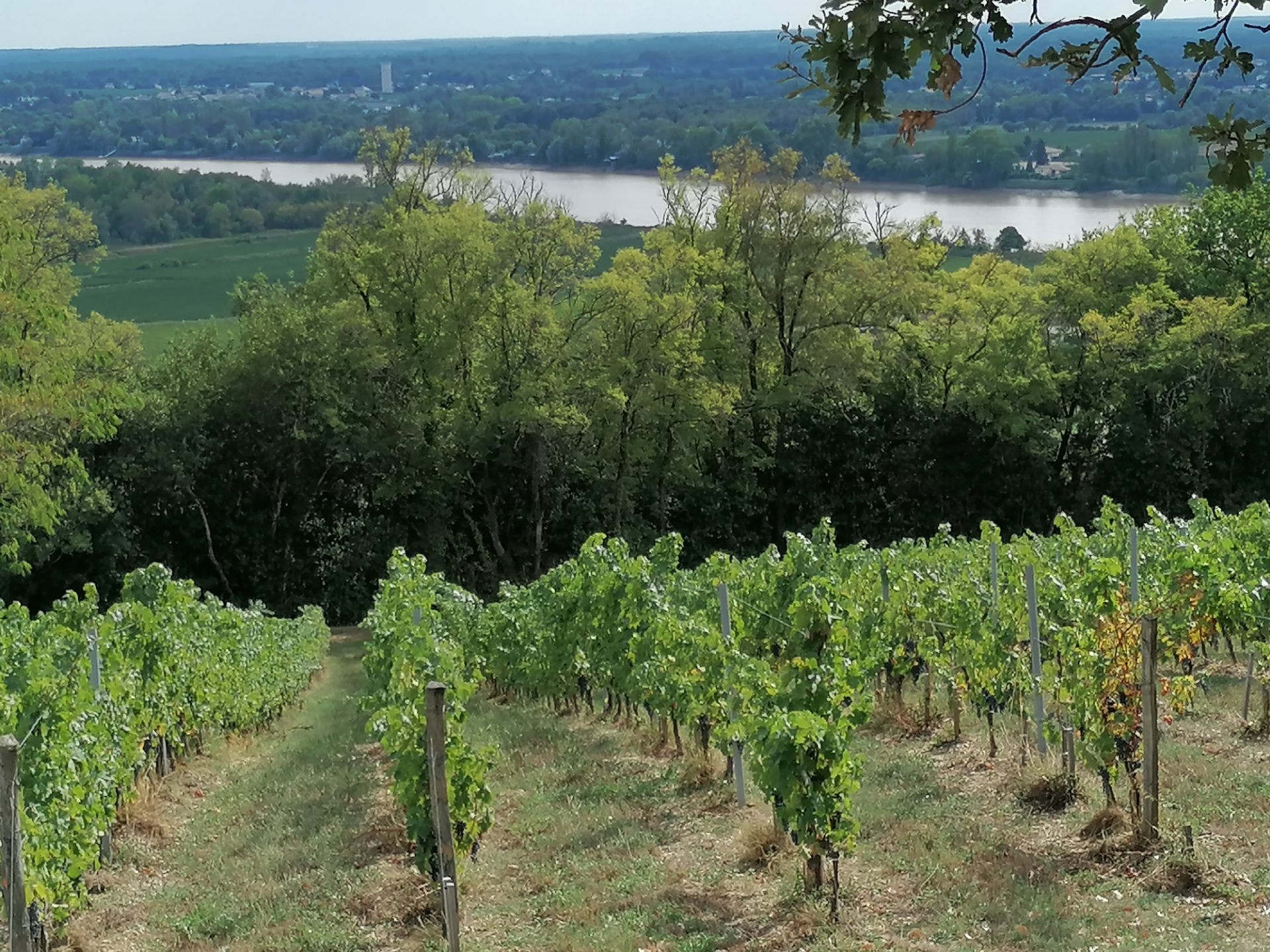 Nouveau départ pour l'US Cenon Rando - US Cenon